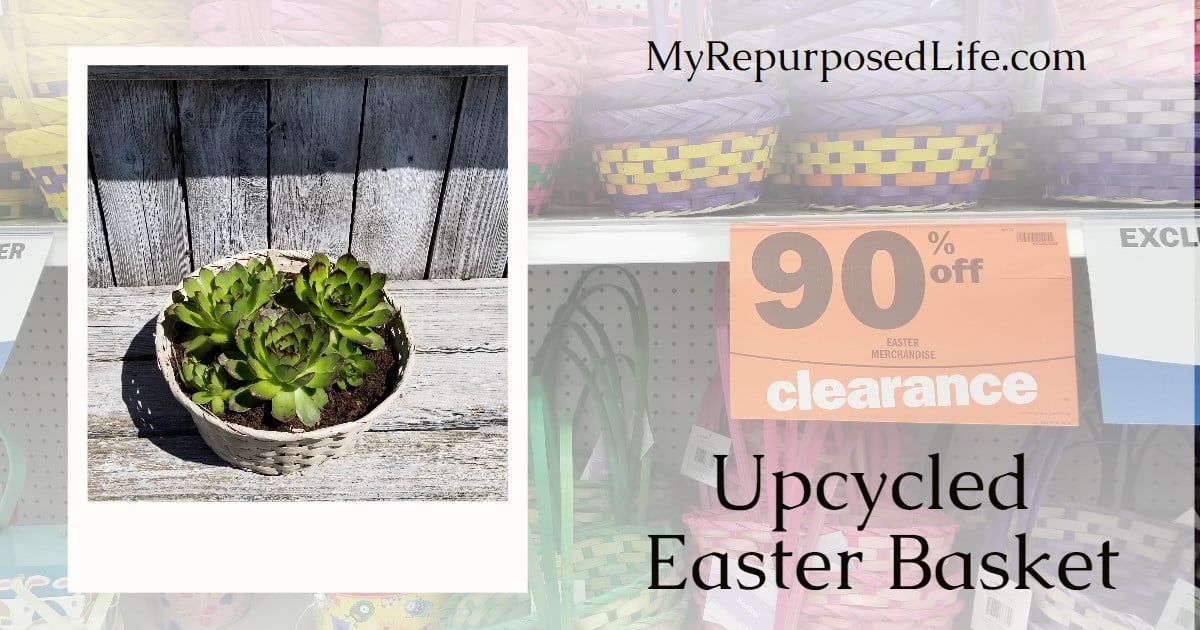 Repurposed Easter Basket Succulent Planter - My Repurposed Life®