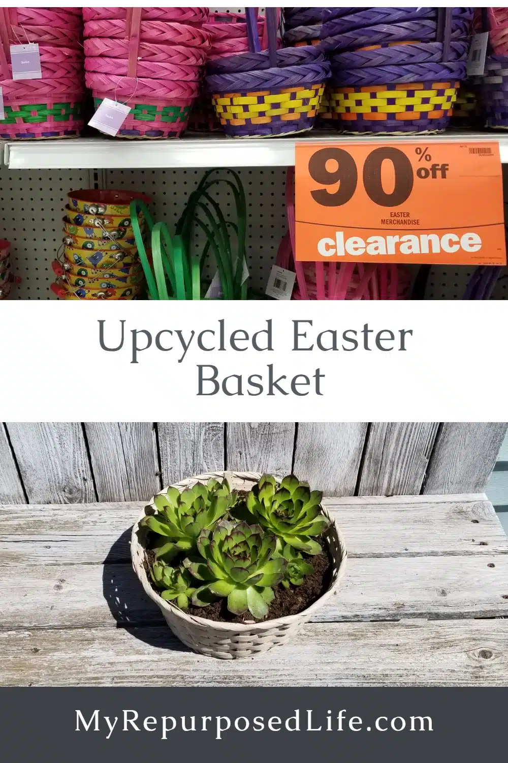 Repurposed Easter Basket Succulent Planter - My Repurposed Life®