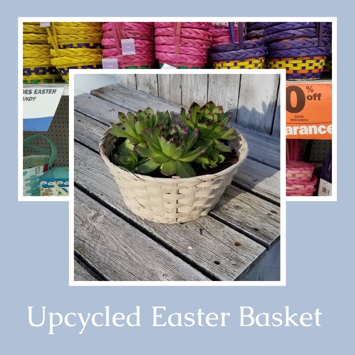 Repurposed Easter Basket Succulent Planter - My Repurposed Life®