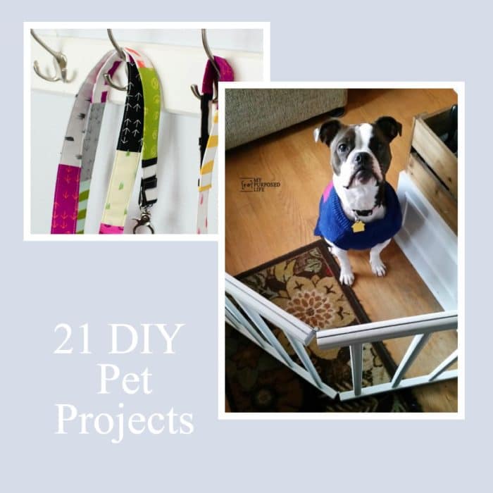 Weekend DIY Pet Projects! - My Repurposed Life®