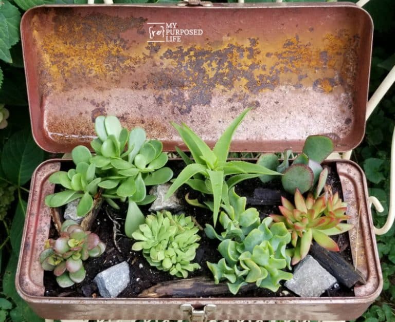 Vintage Toolbox Planter - My Repurposed Life®
