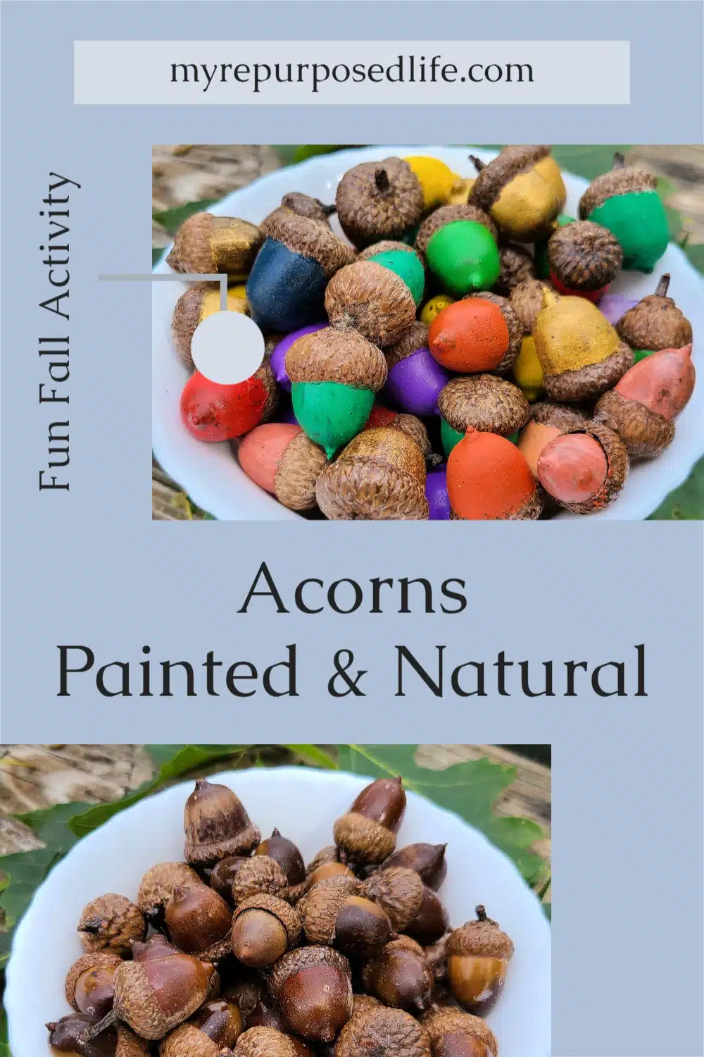 How To Paint Acorns For Fall Decor and More - My Repurposed Life®