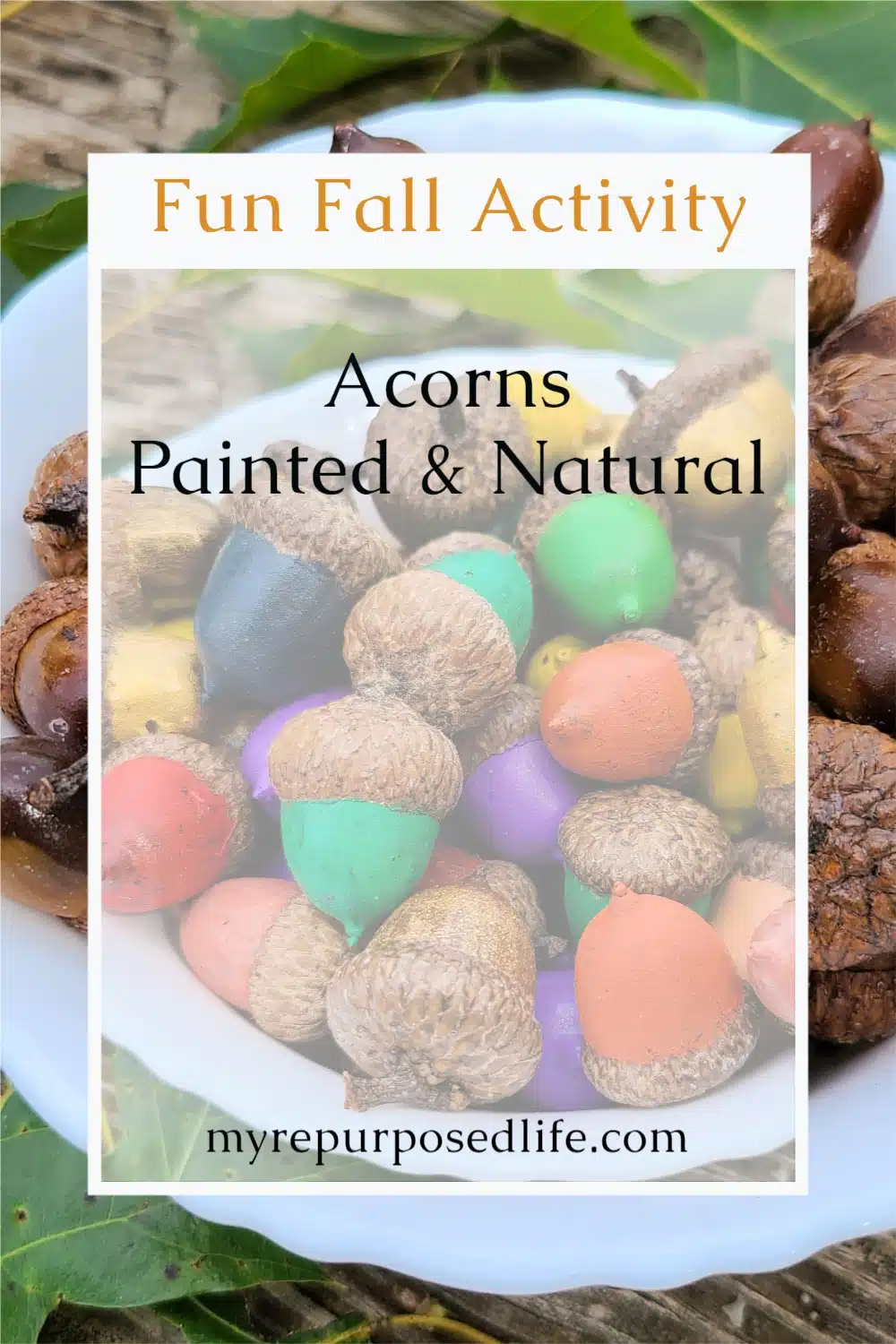 How To Paint Acorns For Fall Decor and More - My Repurposed Life®
