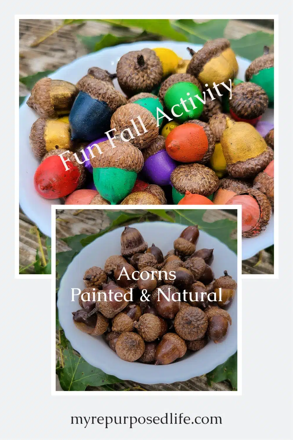 How To Paint Acorns For Fall Decor and More - My Repurposed Life®