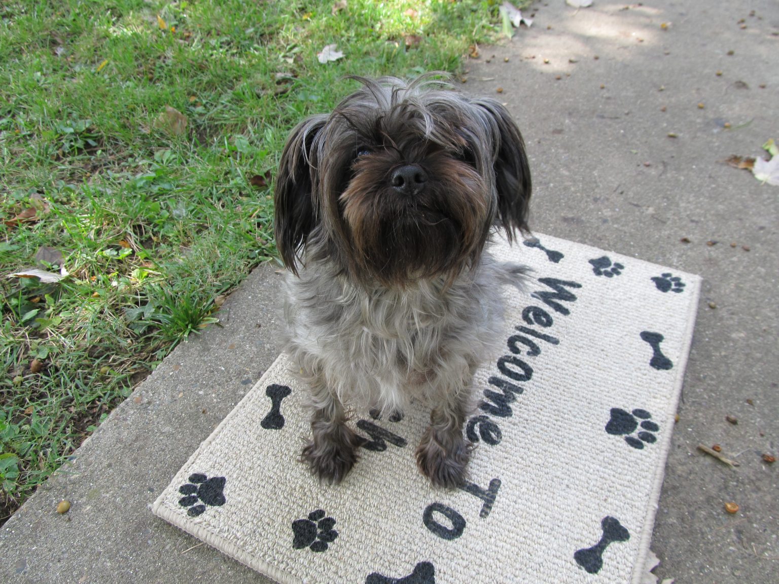 easy Spray Paint Welcome Mat - My Repurposed Life®