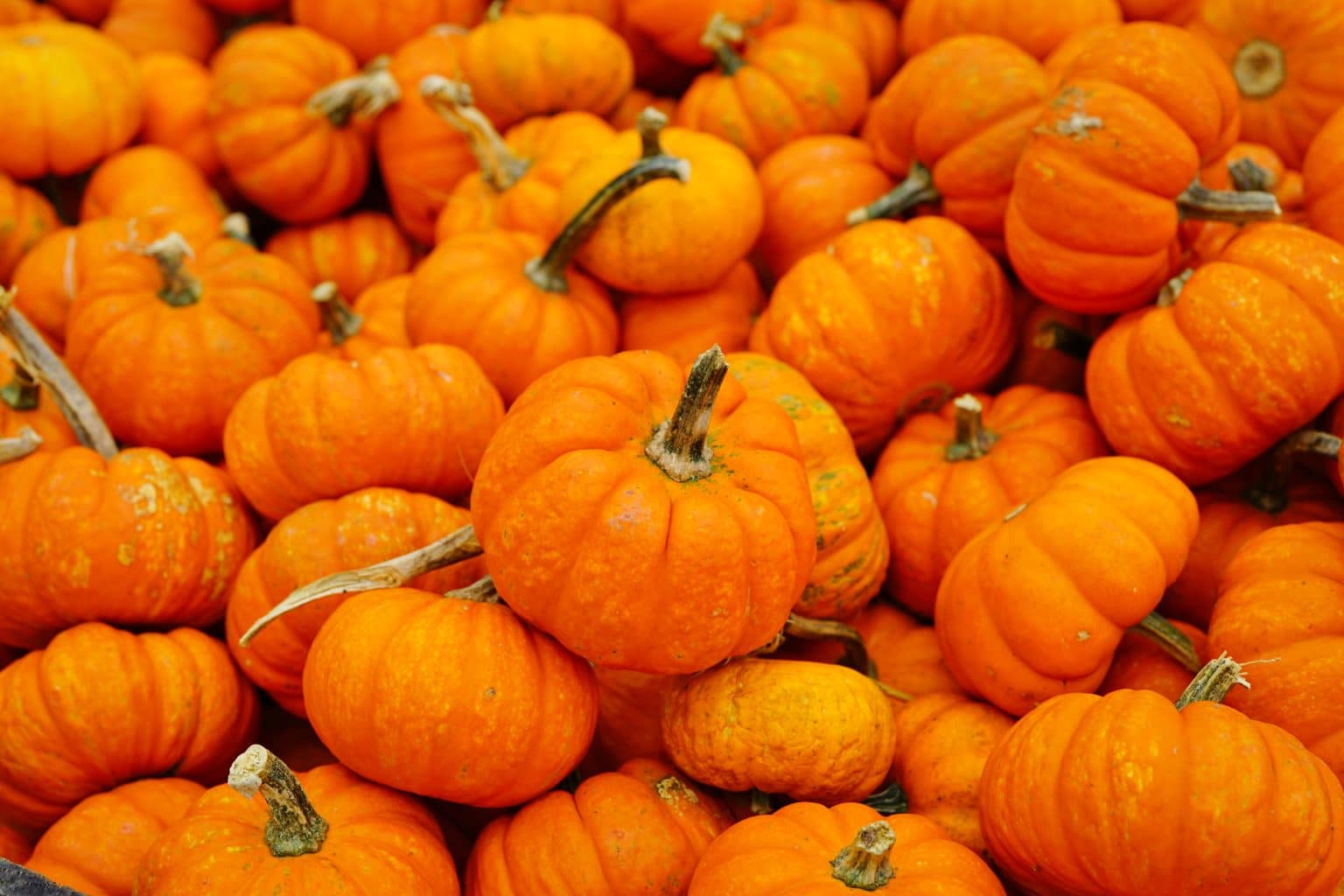 Fall Porch Decor | Grow Your Own - My Repurposed Life®