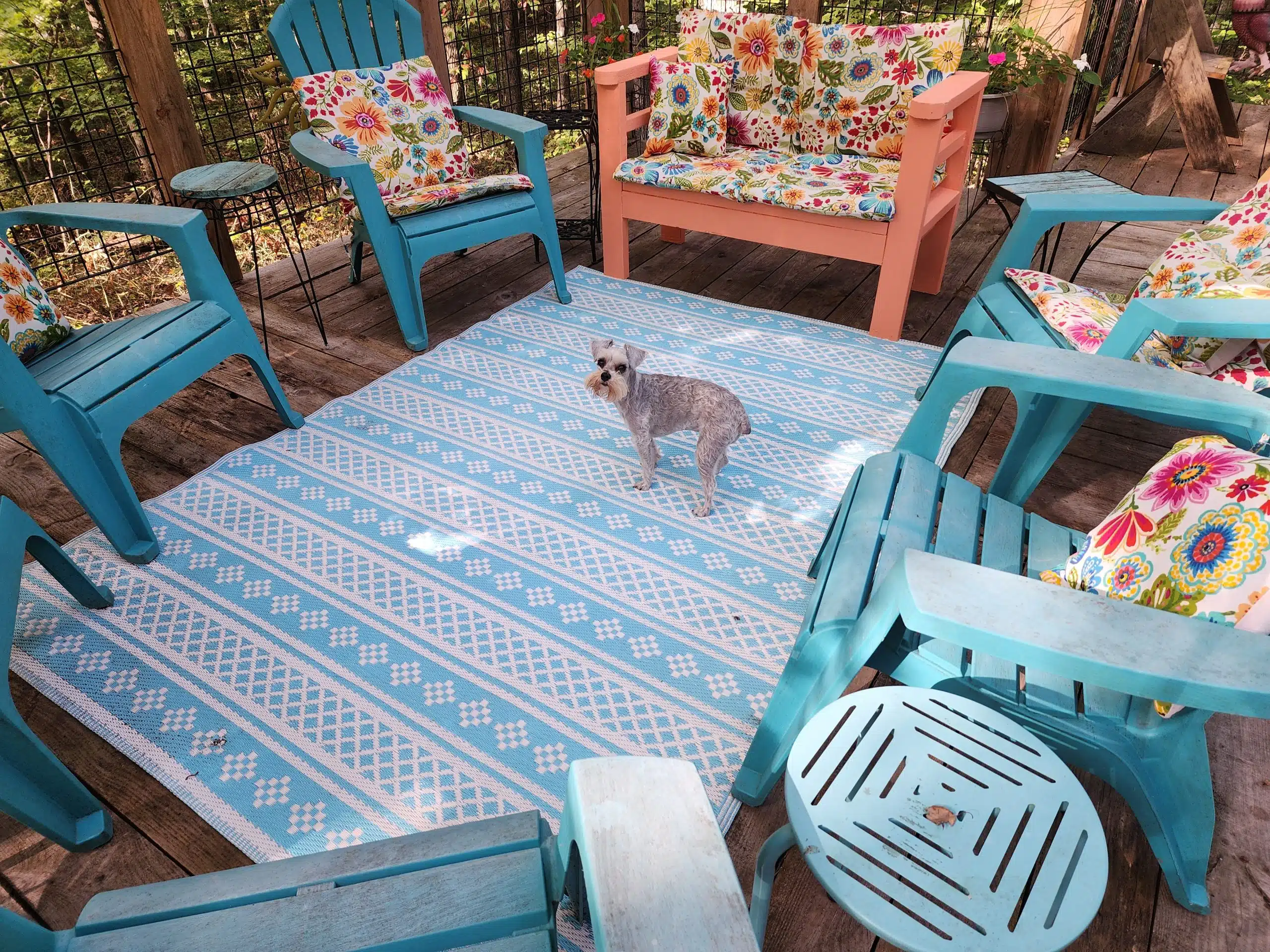 DIY Painted Porch Rug: Adding a Pop of Color to My Outdoor Space - My ...